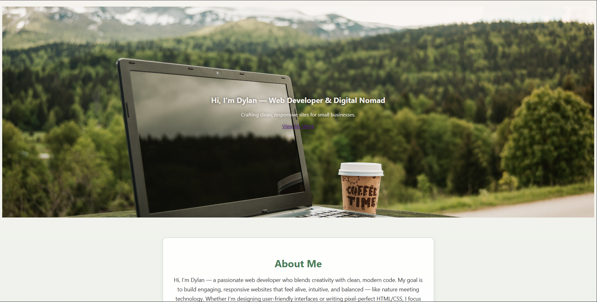 Dylan Negron | Web Developer Portfolio